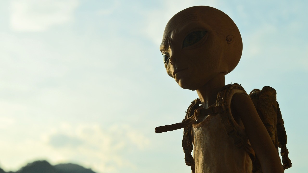 Posibles razones por la que los extraterrestres son calvos - ParanormalHub